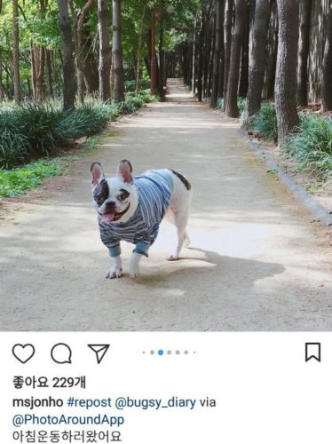 Video reveals Siwon’s father lied in apology, past posts reveal dog’s ...